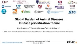 Global Burden of Animal Diseases: Disease prioritization theme